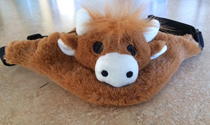 Heartland Highland Cattle Association - Highland Cattle Merchandise For ...